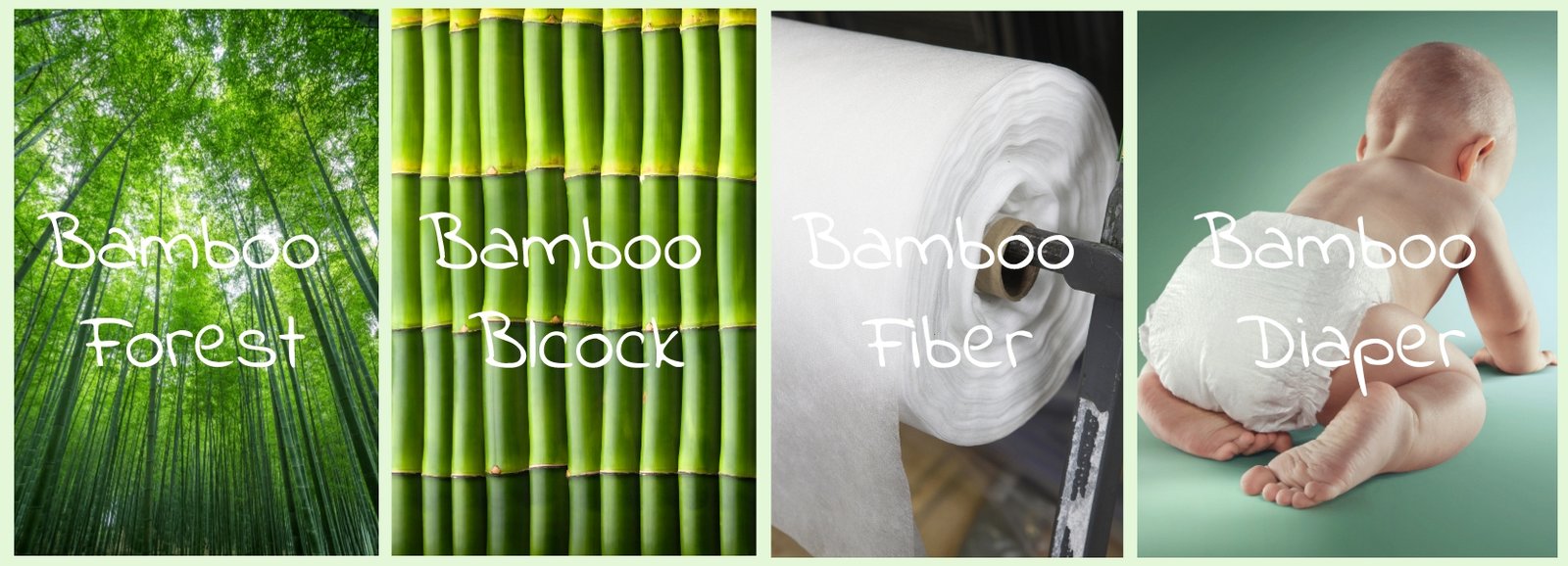 How Bamboo Fiber Becomes a Baby Diaper